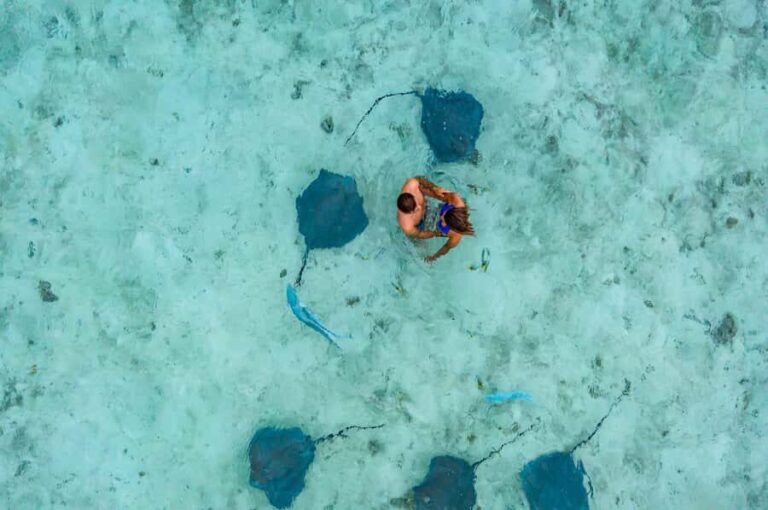 Bora Bora: Private Boat Tour with Snorkeling and Drinks - The Itinerary: A Closer Look