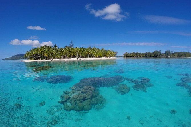 Bora Bora Private Lagoon Tours - Final Thoughts on Who This Tour Is Best For