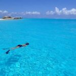 Bora Bora: Small Group Snorkeling Boat Tour with Pickup - Why This Tour Works Best for Certain Travelers