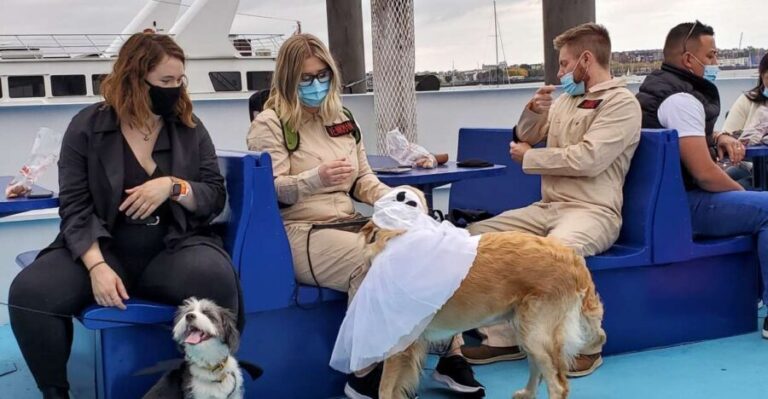 Boston: Dog-Friendly Halloween Costume & Sightseeing Cruise - What to Expect from the Boston Dog-Friendly Halloween Cruise
