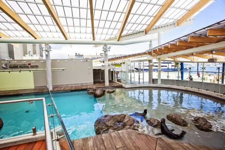 Boston: New England Aquarium Entry + Optional Simons Theatre - Who Is This Tour Best For?