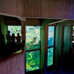 Boston Pass: Save up to 50% - Includes Franklin Park Zoo - Breaking Down the Top Attractions