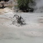 Boutique tour , Mt Maunganui, NZ farm, Rotorua lakes/geothermal - Price and Value