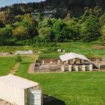 Bowral: Honey Tasting and Hive Opening with Morning Tea - The Sum Up