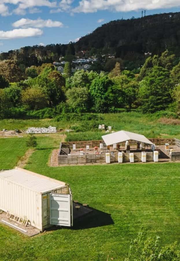 Bowral: Honey Tasting and Hive Opening with Morning Tea - The Sum Up