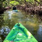 Bradenton: Guided Pedal Kayak Tour - Final Thoughts: Is This Tour Worth It?