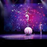 Branson: Grand Shanghai Circus Show Entry Ticket - What You Can Expect from the Show