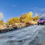 Branson: Ozark Mountain Adventure with Table Rock Lake - What Makes This Tour Stand Out