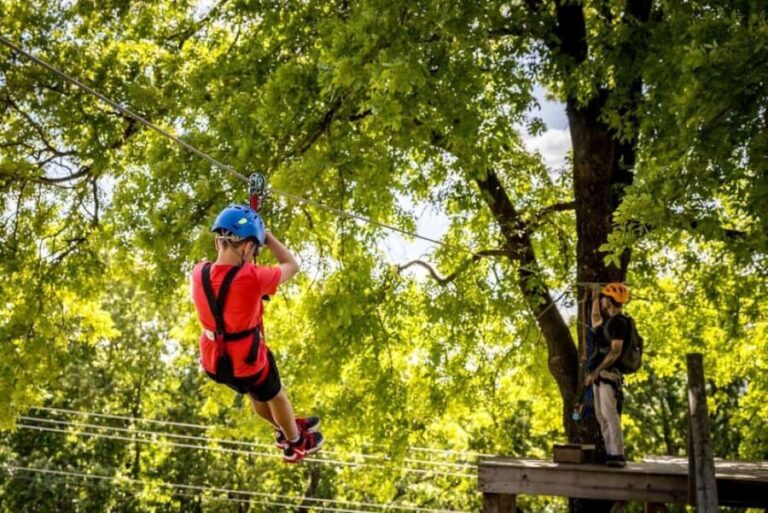 Branson: Zipline Canopy Tour - Who Is This Tour Best Suited For?