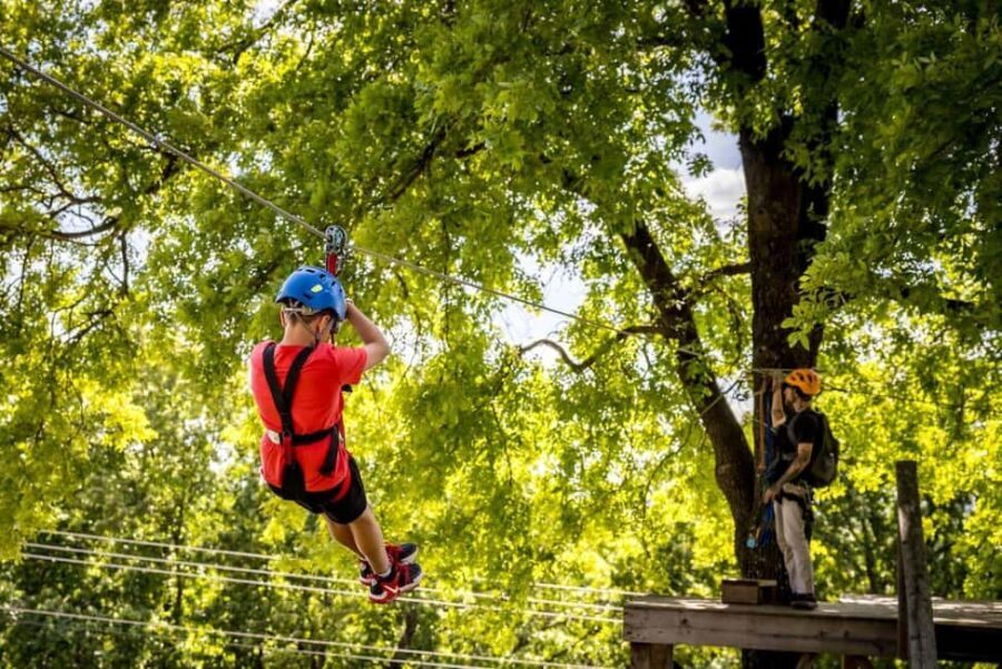 Branson: Zipline Canopy Tour - Who Is This Tour Best Suited For?