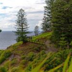 Breakfast Bushwalk in Norfolk Island - Practical Tips for Your Bushwalk