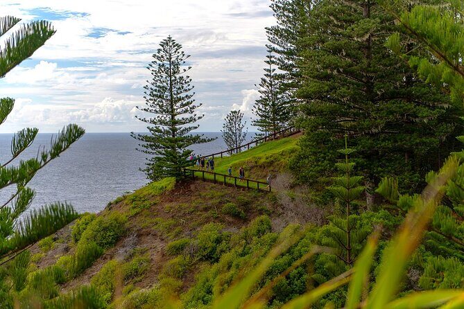 Breakfast Bushwalk in Norfolk Island - Practical Tips for Your Bushwalk