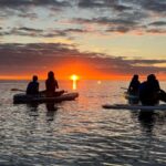 Brentwood Bay: Bioluminescence & Sunset Paddleboard Tour - What to Expect from the Bioluminescence & Sunset Paddleboard Tour