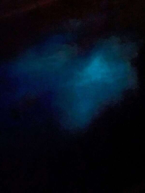 Brentwood Bay: Bioluminescence Tour - What to Expect During the Tour