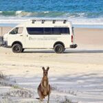 Bribie Island: 4WD, Kayak, and WWII Bunker Tour - Practical Details: What You Need to Know