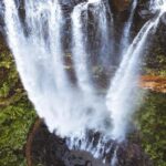 Brisbane: 6 Waterfalls, Koalas & Natural Bridge Day Tour - Practical Details and What to Expect