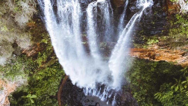 Brisbane: 6 Waterfalls, Koalas & Natural Bridge Day Tour - Practical Details and What to Expect
