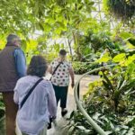 Brisbane Bus Tour: City highlights & Mt Coot-tha Lookout - A Closer Look at the Itinerary