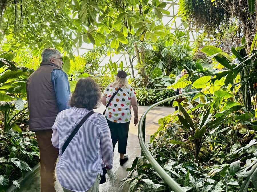 Brisbane Bus Tour: City highlights & Mt Coot-tha Lookout - A Closer Look at the Itinerary