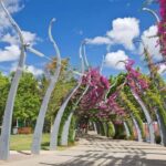 Brisbane : City Highlights Private Walking Tour - An In-Depth Look at the Brisbane City Highlights Tour