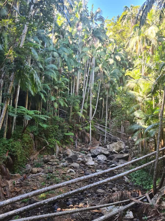 Brisbane Departure : Explore Tamborine Mountain Day Tour - The Logistics and Practicalities