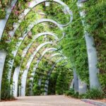 Brisbane Family Fun- Parks and Landmarks Walking Tour - What to Expect at Each Stop