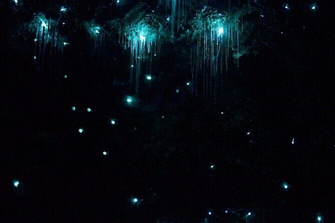 Brisbane: Glow Worms, Sunset, Telescope Stargazing & Dinner - Scenic Sunset and Relaxed Dinner