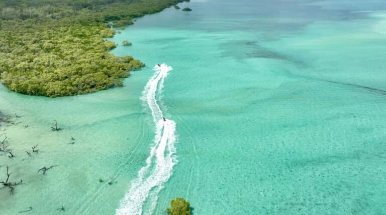 Brisbane: Half-Day Jetski Adventure to Moreton Bay Islands - Why This Tour Offers Great Value