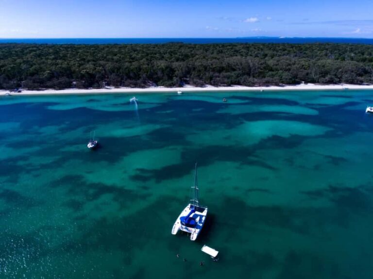 Brisbane: Half-Day Moreton Bay Sailing Cruise with Antipasto - What Makes This Experience Stand Out?