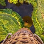 Brisbane: Hot Air Balloon Flight with Vineyard Breakfast - The Full Itinerary Breakdown