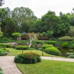 Brisbane Insights Tour - In-Depth Look at the Itinerary