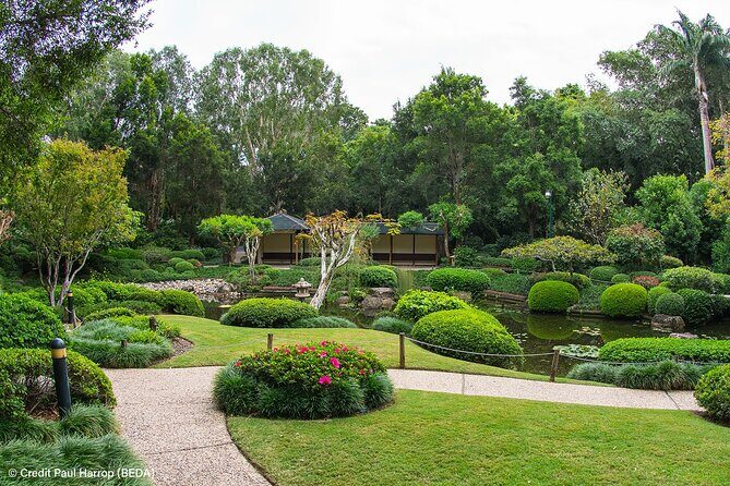 Brisbane Insights Tour - In-Depth Look at the Itinerary