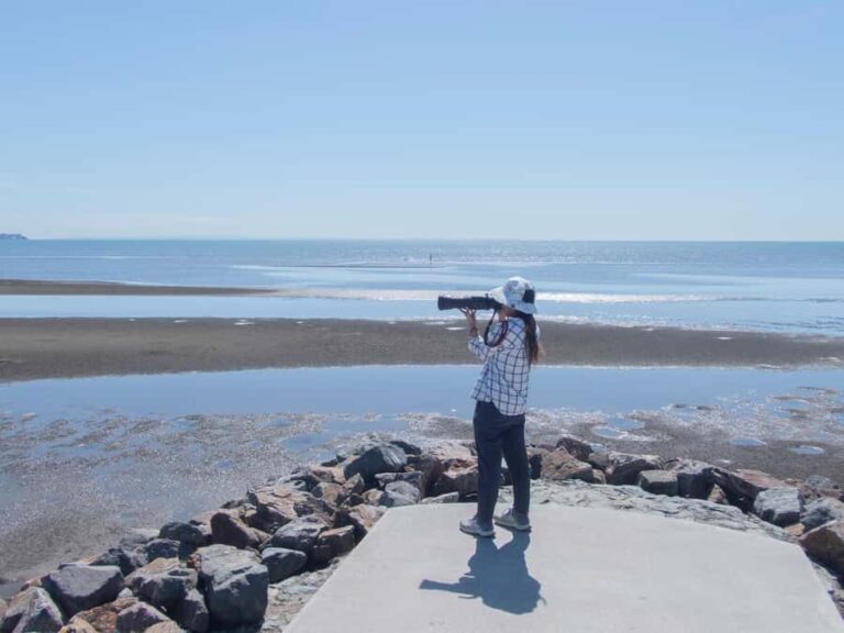 Brisbane: Kangaroos, Birds and Mangroves Coastal Tour - An In-Depth Look at the Coastal Experience