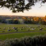 Brisbane: Moreton Bay Winery & Brewery Tour with Lunch - Practical Details and Value