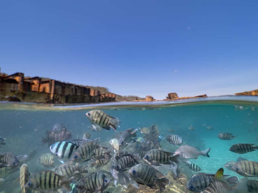 Brisbane: Moreton Island all inclusive Snorkeling Tour - Detailed Breakdown of the Tour Itinerary