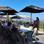 Brisbane Private VIP Tour with Your Tour Concierge - Mount Coot-tha: Brisbane’s Best Viewpoint