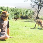 Brisbane: Stradbroke Island Eco Tour - Small Group, Full Day - An In-Depth Look at the Experience