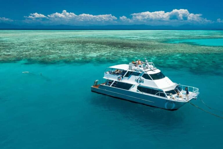 Brisbane to Daintree Whitsundays & Reef 9 Day Comfort Tour - What Makes This Tour Stand Out?