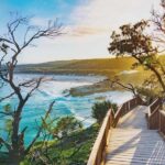 Brisbane to North Stradbroke Island Day: Wildlife & Beaches - What to Expect on This Day Trip
