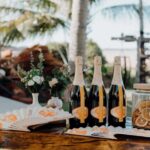 Broome: Boab and Myrtle Chandon High Tea with Transfers - What to Expect During the Tour