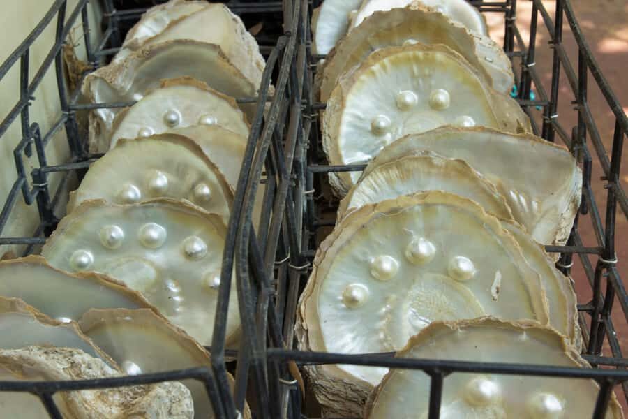 Broome: Dampier Peninsula Tour (Optional Scenic Flight) - The Experience — Deep Dive into the Highlights