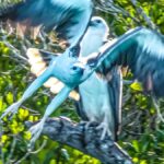 BROOME: Eco Cruise -With Beer, Wine and Gourmet Platters - Who Will Love This Experience?