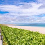Broome: Panoramic and Discovery - Morning Tour w/ Transfers - FAQ