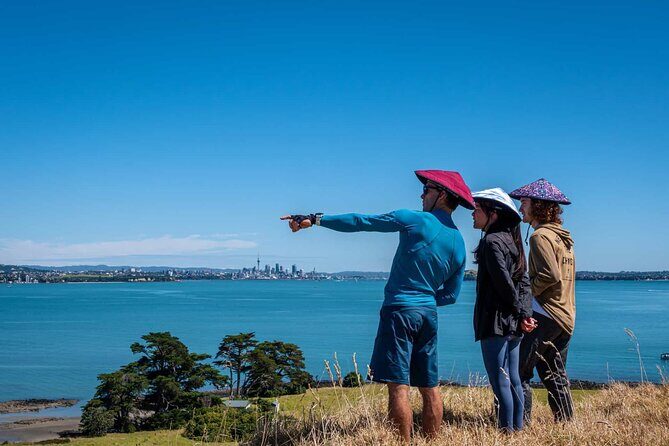 Browns Island Motukorea Sea Kayak Tour - Potential Challenges