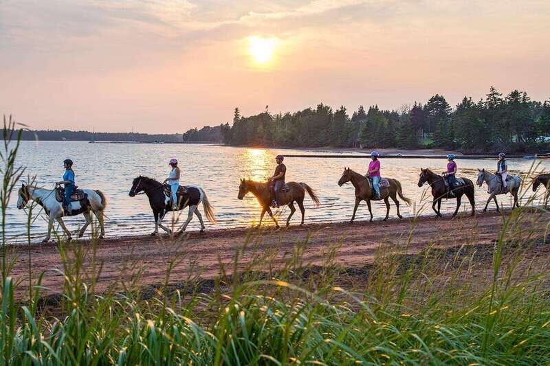 Brudenell: Family-Friendly Horse Ride goes on the Beach - What Travelers Say: Authentic Feedback