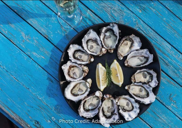 Bruny Island: Guided Sightseeing Tour (8hr Private Tour) - A Detailed Look at the Bruny Island Private Tour