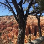 Bryce Canyon Private Tour - The Experience: Visualizing Your Visit