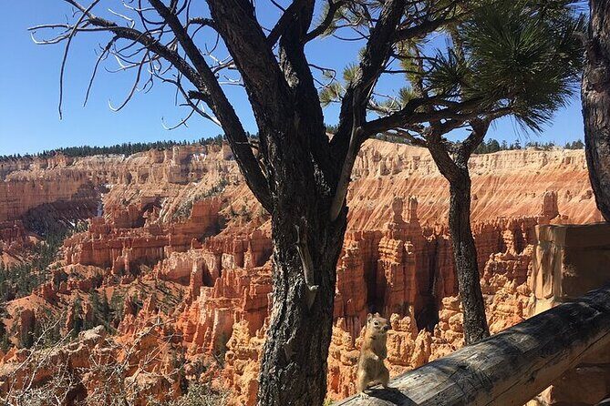 Bryce Canyon Private Tour - The Experience: Visualizing Your Visit