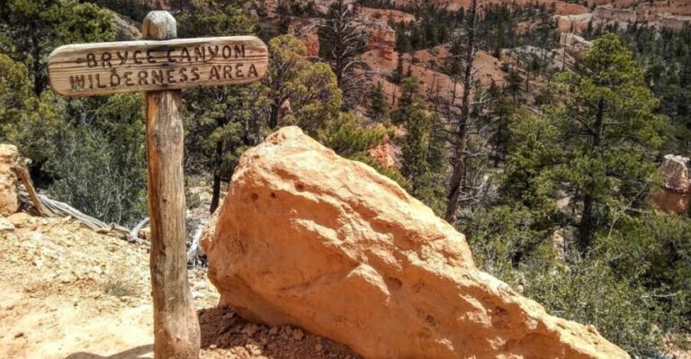 Bryce: Guided Sightseeing Tour of Bryce Canyon National Park - Who Will Love This Tour?
