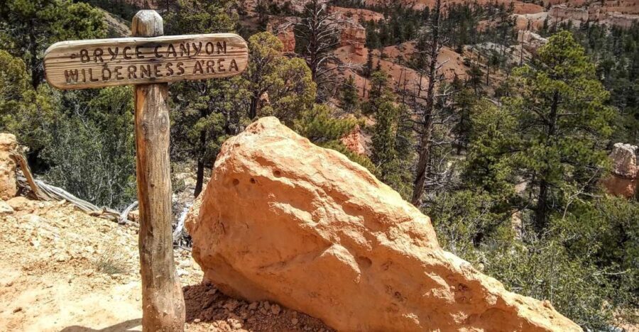 Bryce: Guided Sightseeing Tour of Bryce Canyon National Park - Who Will Love This Tour?